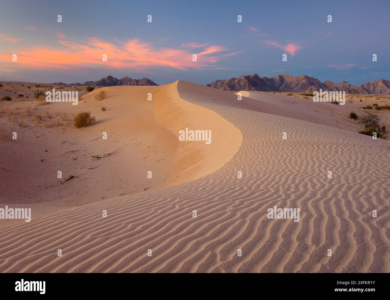Desert environment surrounding the border wall along the US-Mexican ...