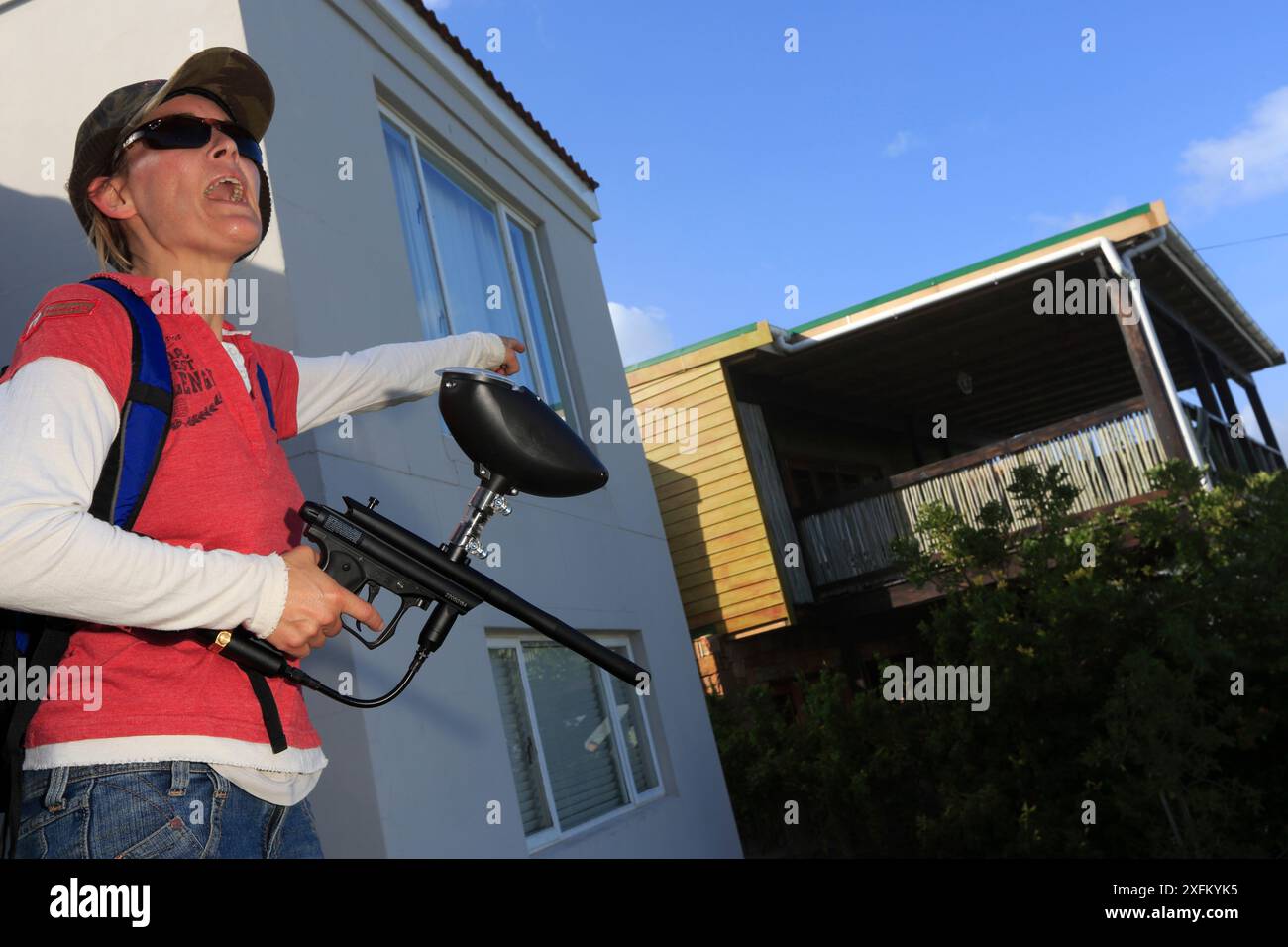 Woman trying to shoot Chacma baboons (Papio ursinus) with paintball gun ...
