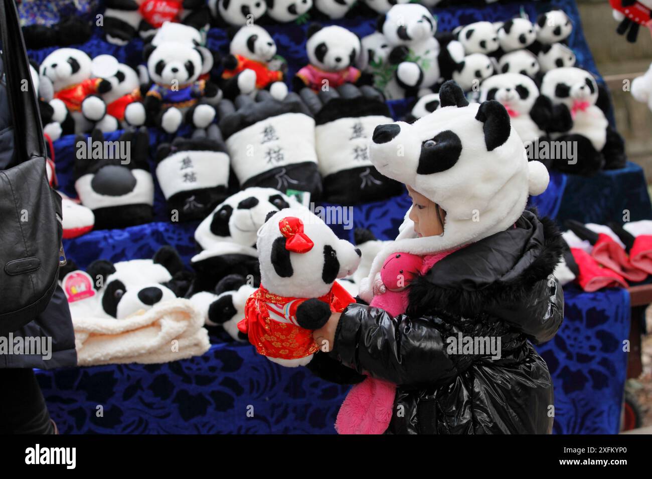 Toy Giant pandas (Ailuropoda melanoleuca) for sale at Chengdu Breeding ...