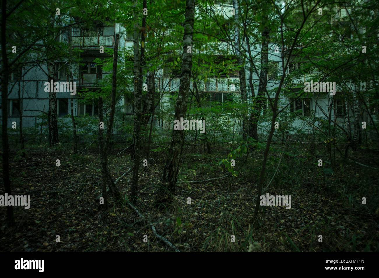 Abandoned tower block in Pripyat, Chernobyl Exlusion Zone, Ukraine ...