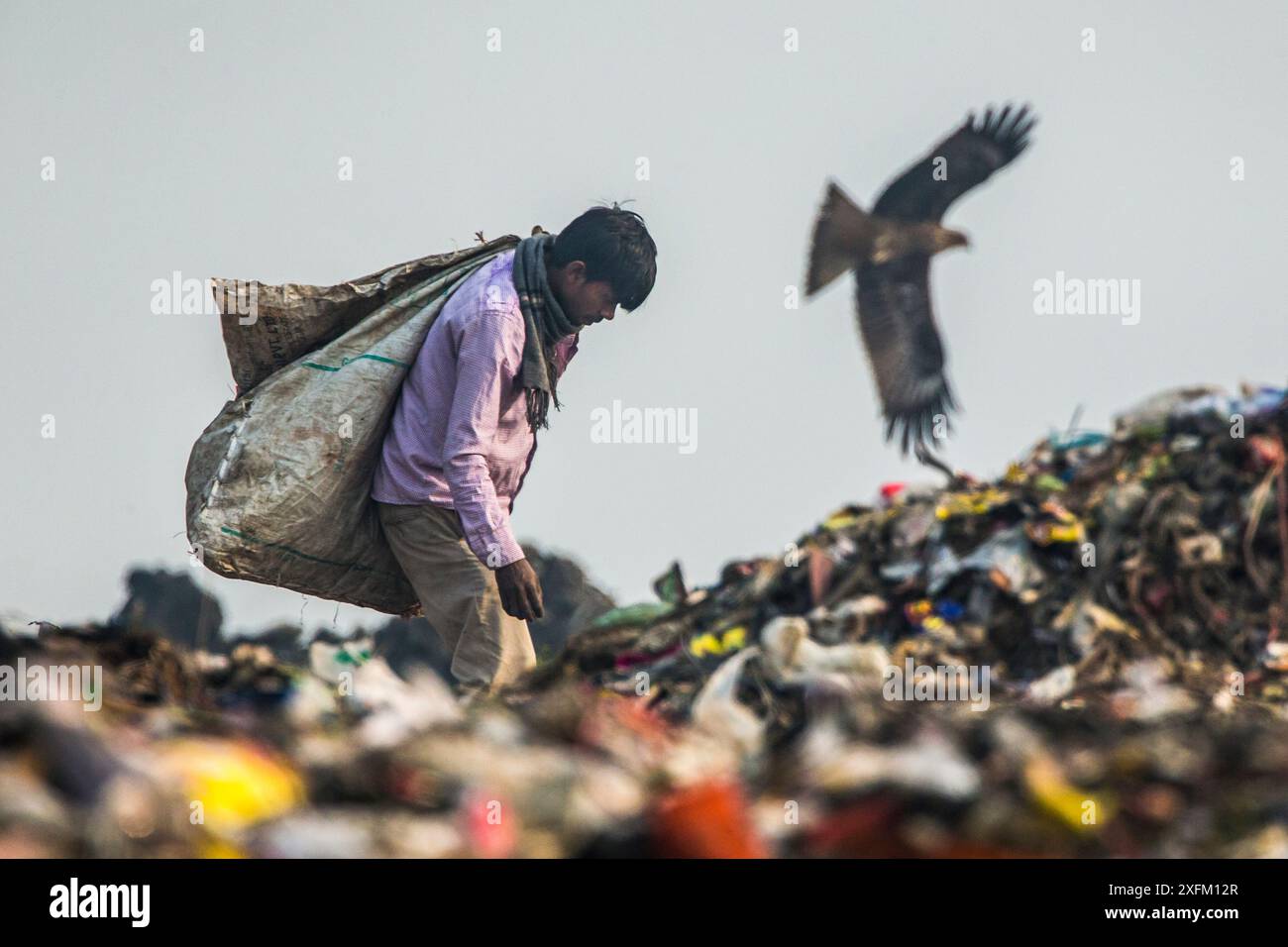 Ghazipur landfill hi-res stock photography and images - Alamy