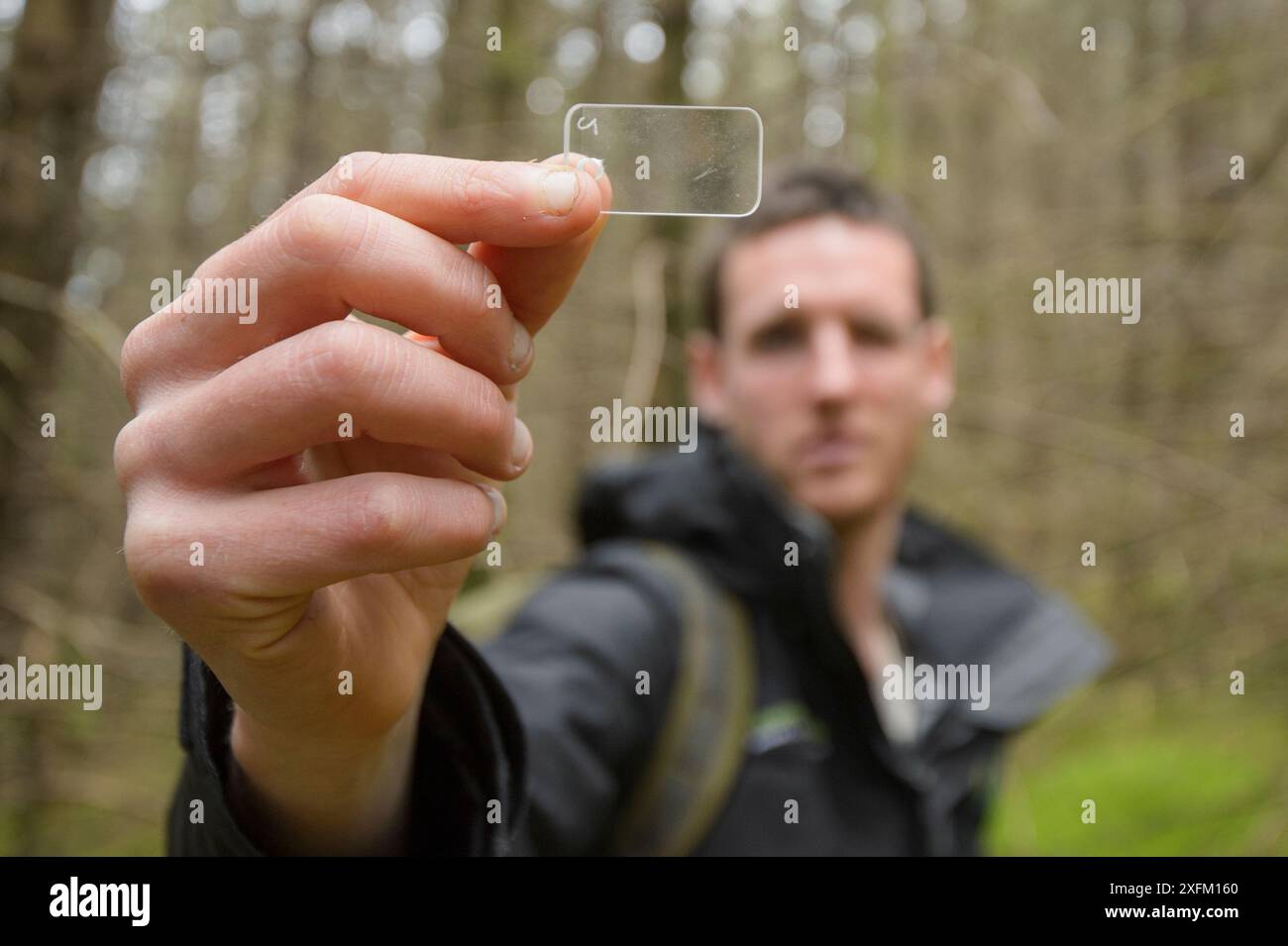 Project Officer Dave Bavin conducting woodland surveys at potential ...