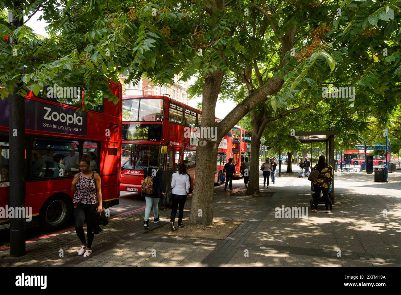 Trees providing shade for bus passengers, Elephant and Castle, London ...