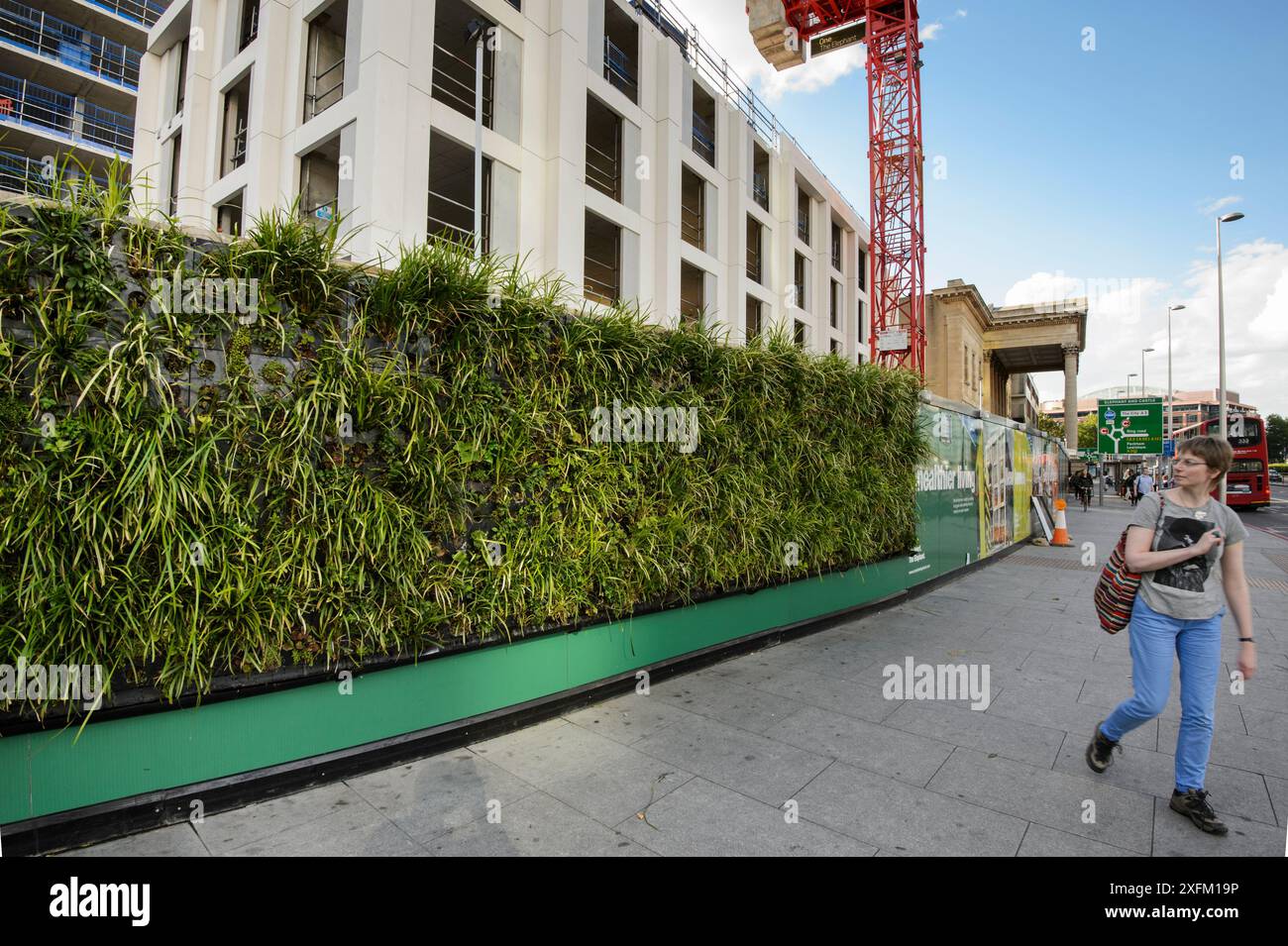 Green wall on site of new housing estate, Elephant and Castle, London ...