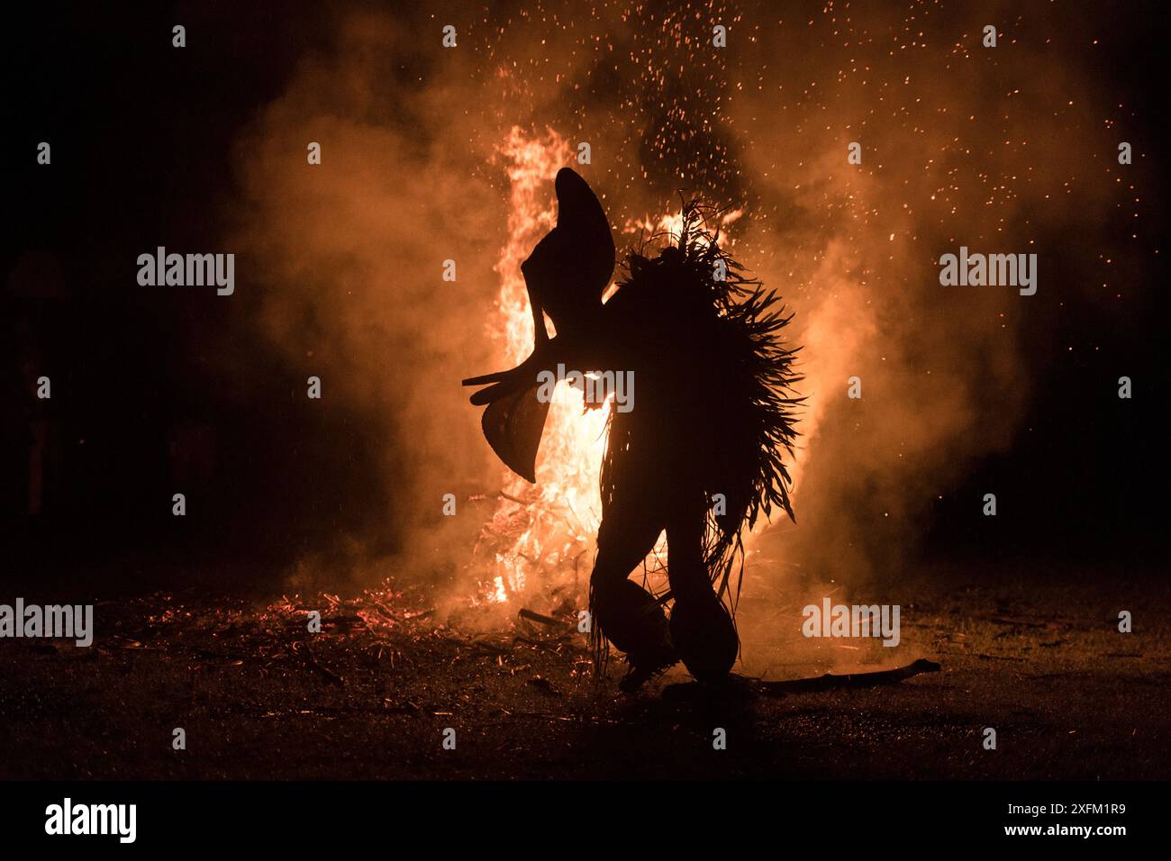 Baining men in traditional fire dance ceremony. Men enter a trance like ...