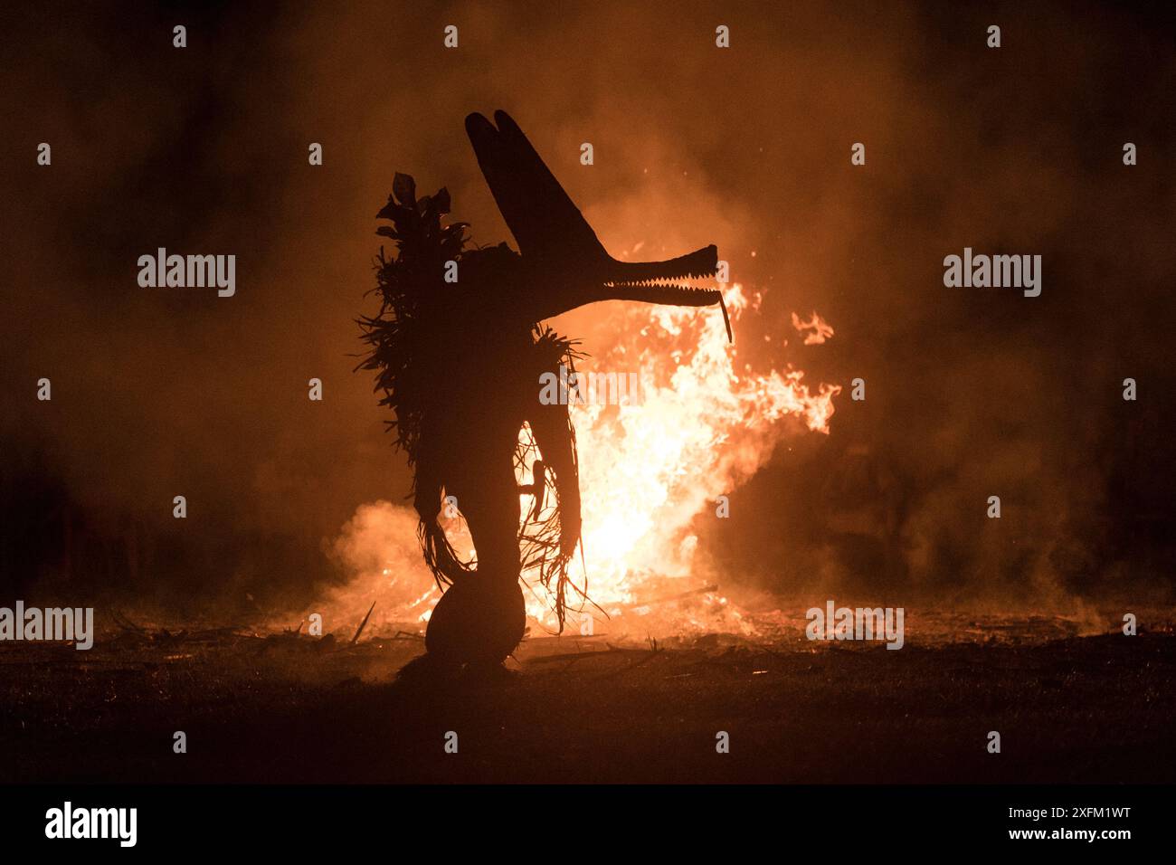 Baining men in traditional fire dance ceremony. Men enter a trance like ...