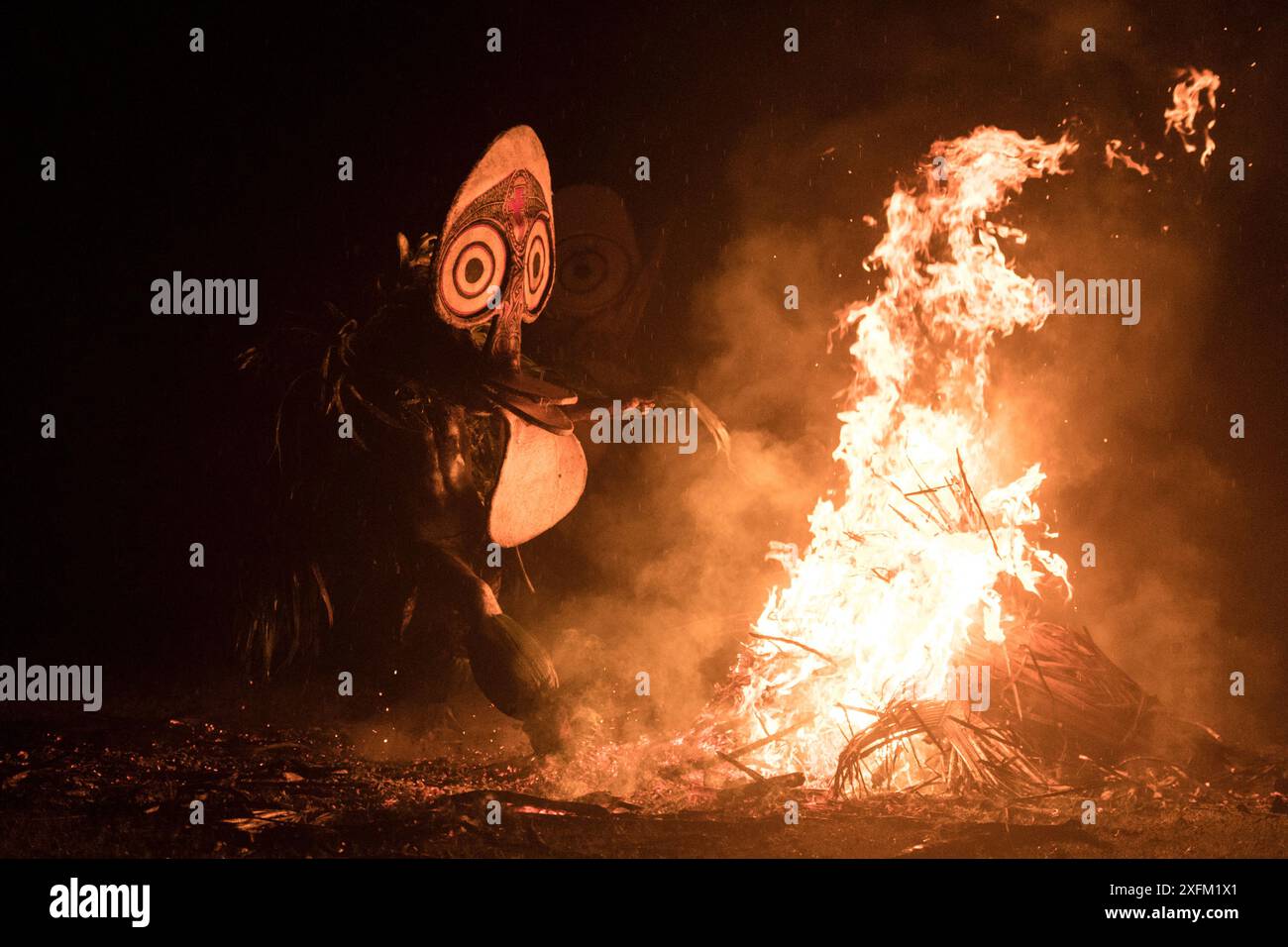 Baining men in traditional fire dance ceremony. Men enter a trance like ...