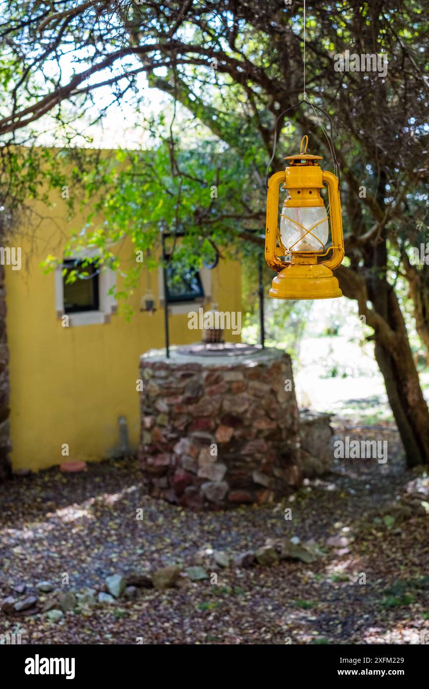 A yellow lantern hanging from a tree. The lantern is lit and the light ...