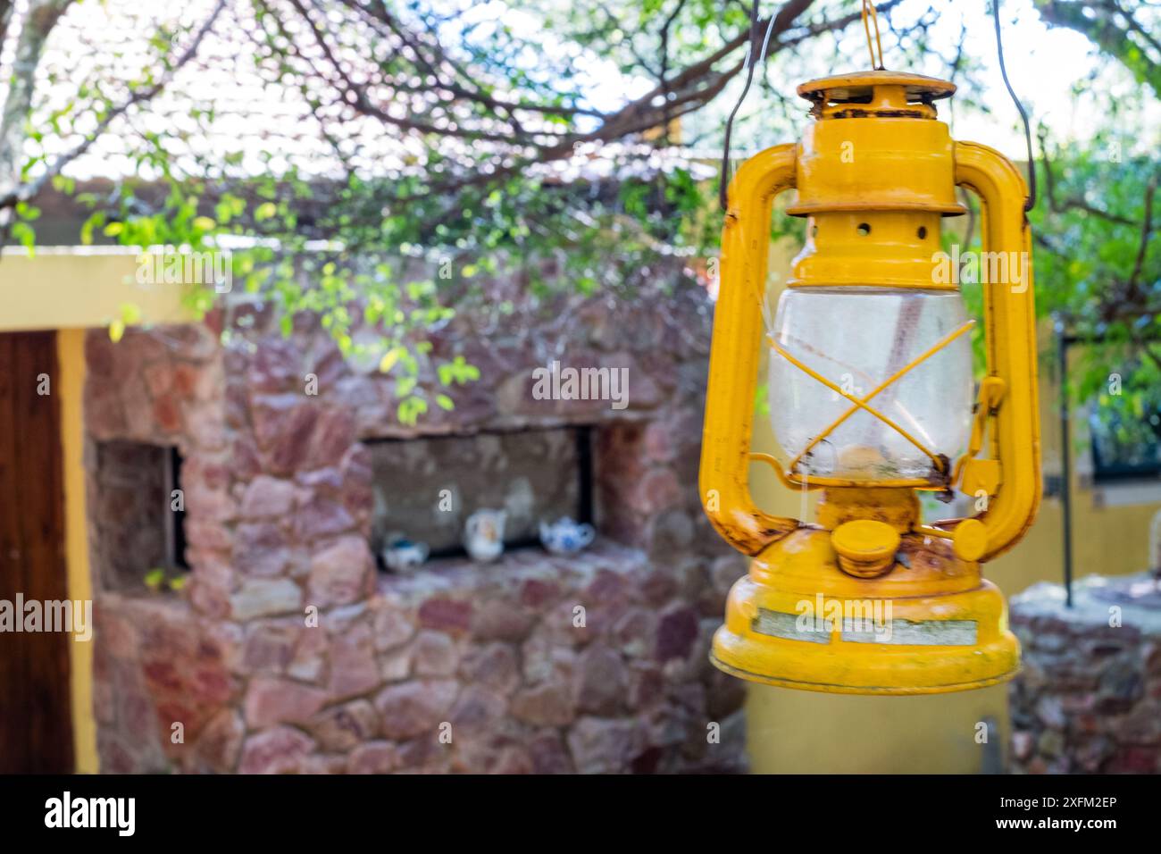 A yellow lantern hanging from a tree. The lantern is lit and the light ...