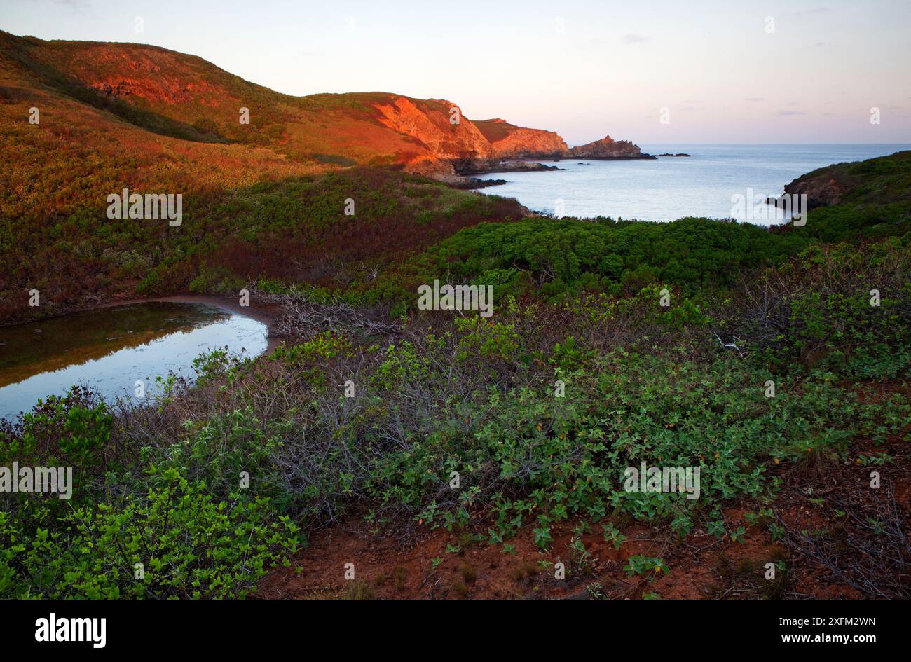 Playa Norte, Socorro Island, Revillagigedo Archipelago Biosphere ...