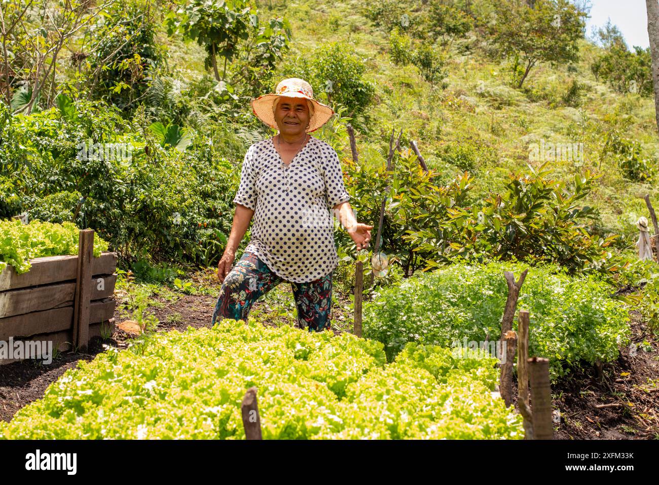 lifestyle: woman farmer proudly standing in front of her lettuce crop ...
