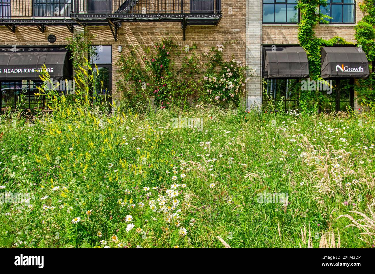 Green growth in 2024 hi-res stock photography and images - Alamy
