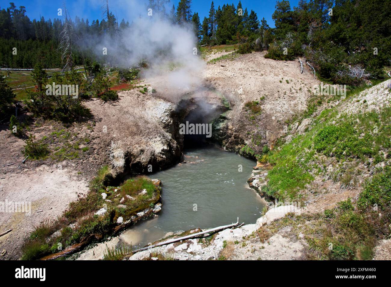 Dragons Mouth, Spring Mud Volcano Area, Hayden Valley, Yellowstone ...