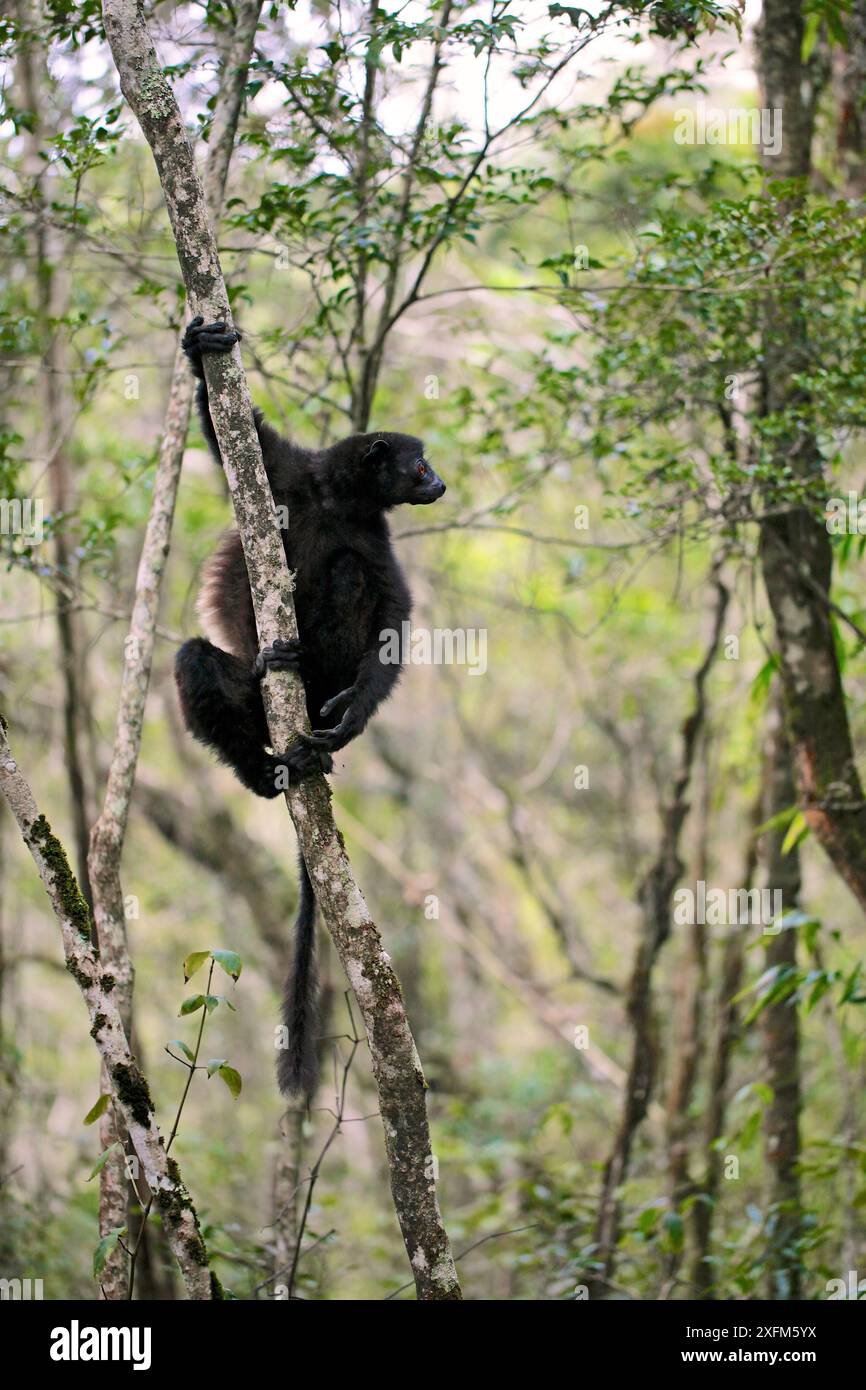 Np edwards hi-res stock photography and images - Alamy