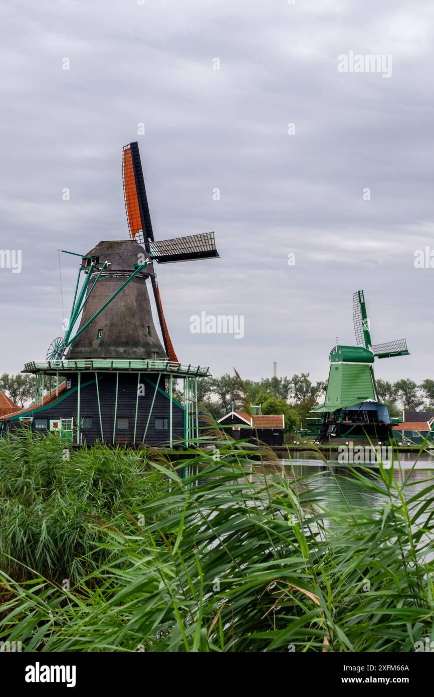 Two windmills are in a field with tall grass. The windmills are green ...