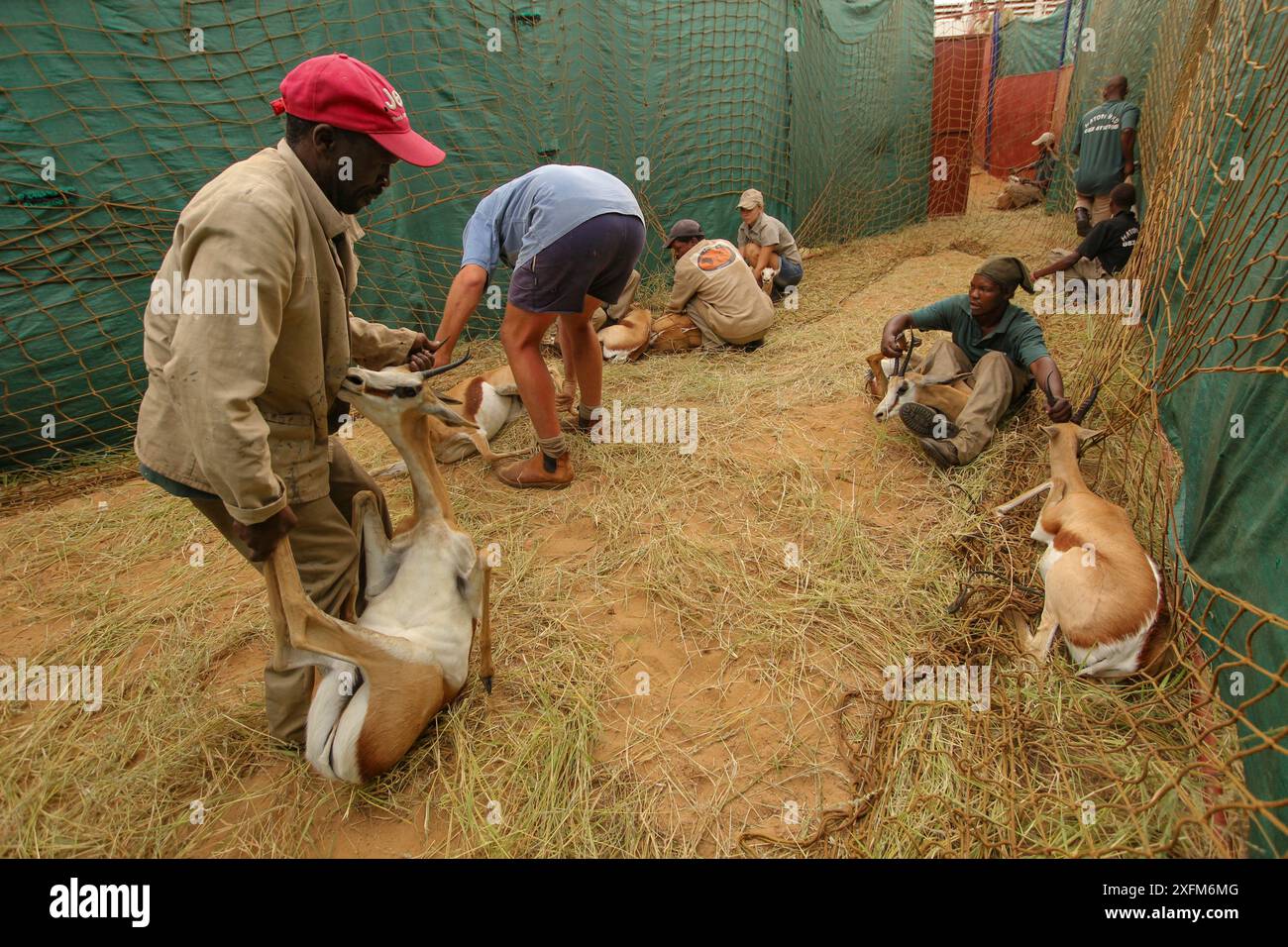 Wildlife trophies hi-res stock photography and images - Alamy