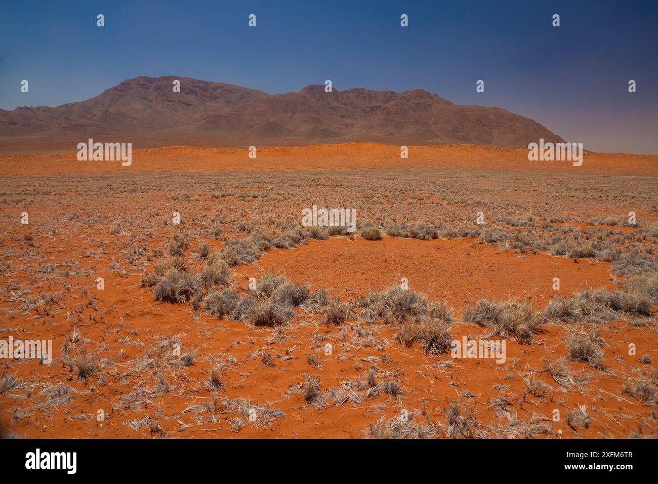 Fairy circle namib namibia namibian hi-res stock photography and images ...