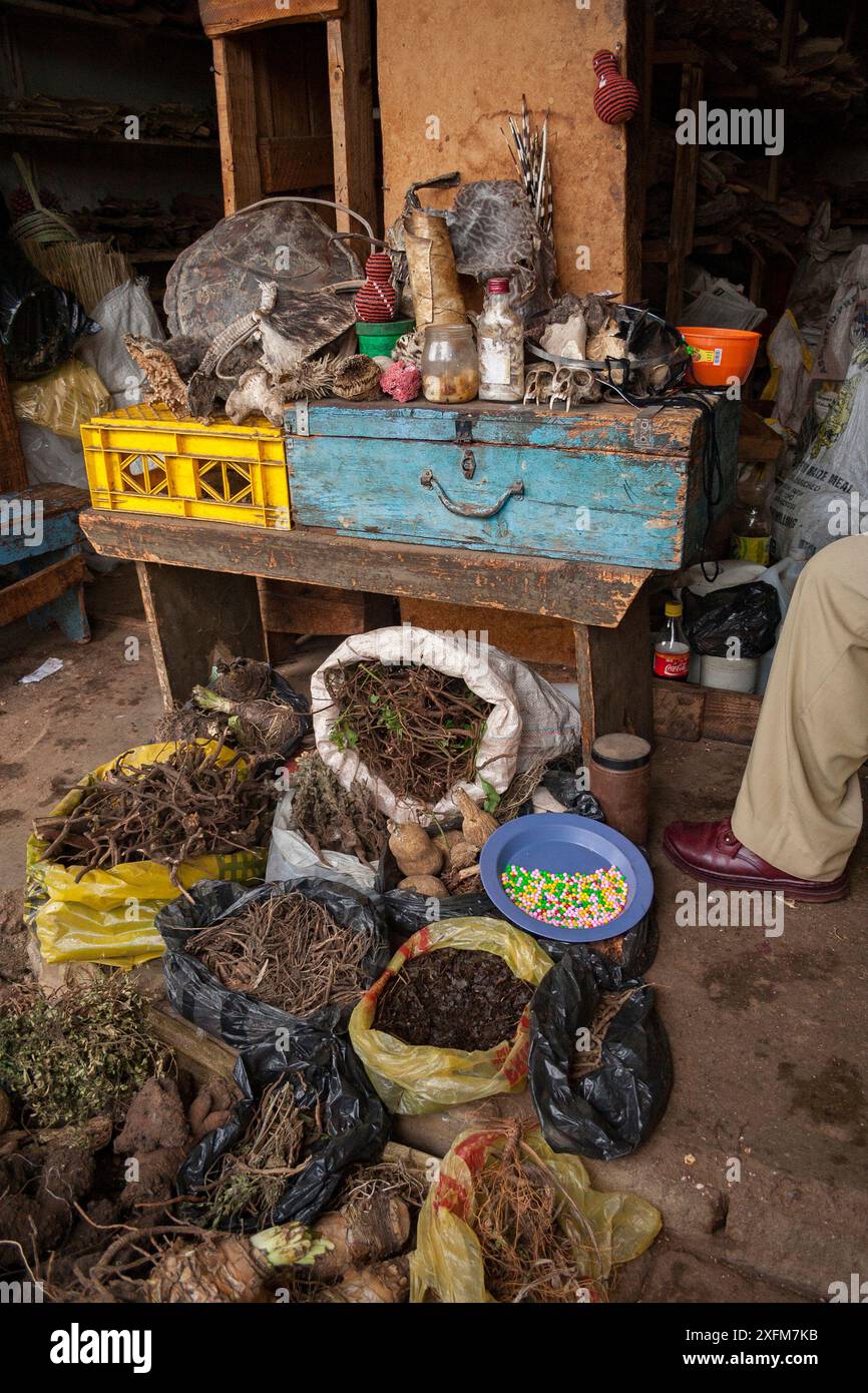 Marketplace in Mbabane selling animal body parts including sea star ...