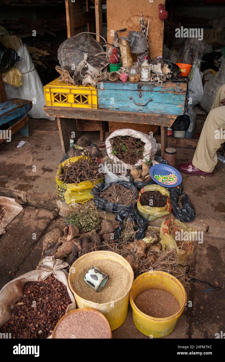Marketplace in Mbabane selling animal body parts including sea star ...