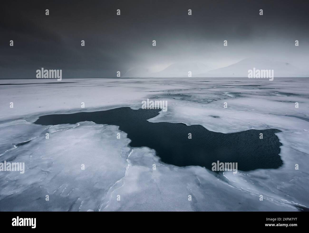 Ice covering the surface in Liefdefjorden, Svalbard, Norway, March ...