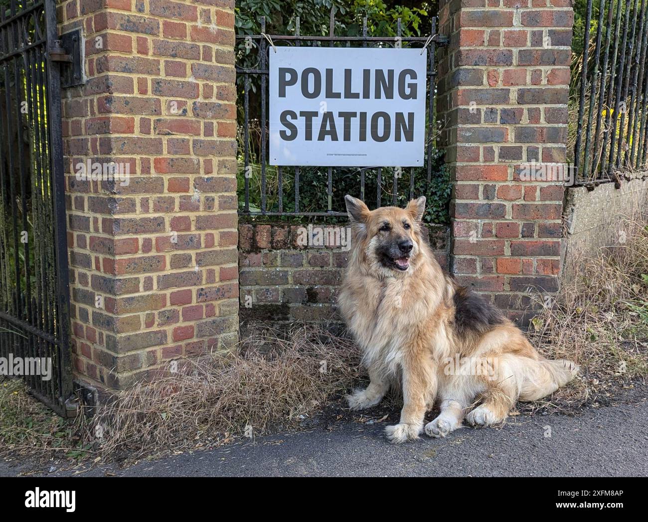 A dog waits for its owner outside the polling station at Coulsdon ...