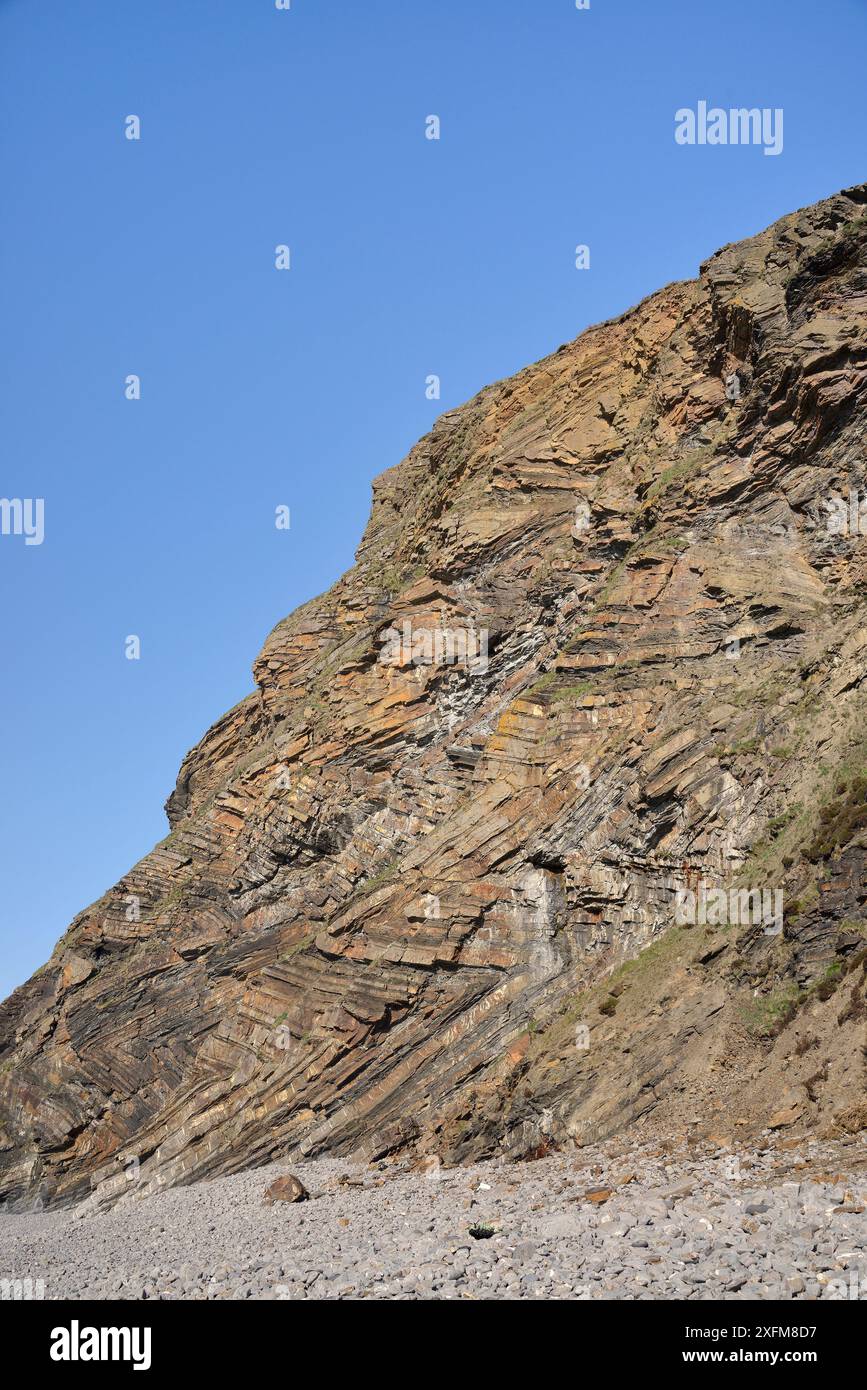 Chevron folds of Sandstone and shale rock layers in Millook Haven ...