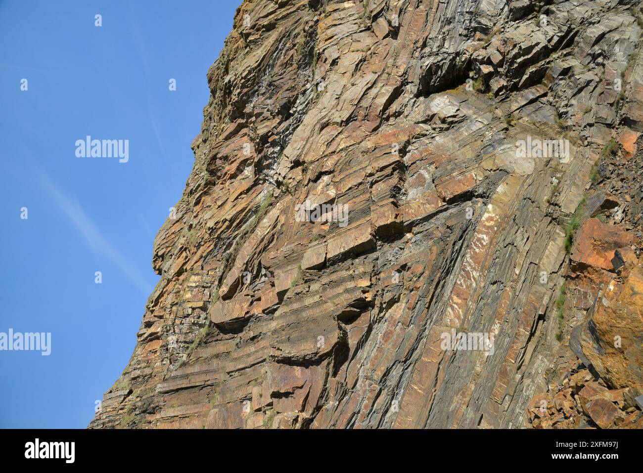 Chevron folds of sandstone and shale rock layers in Millook Haven ...