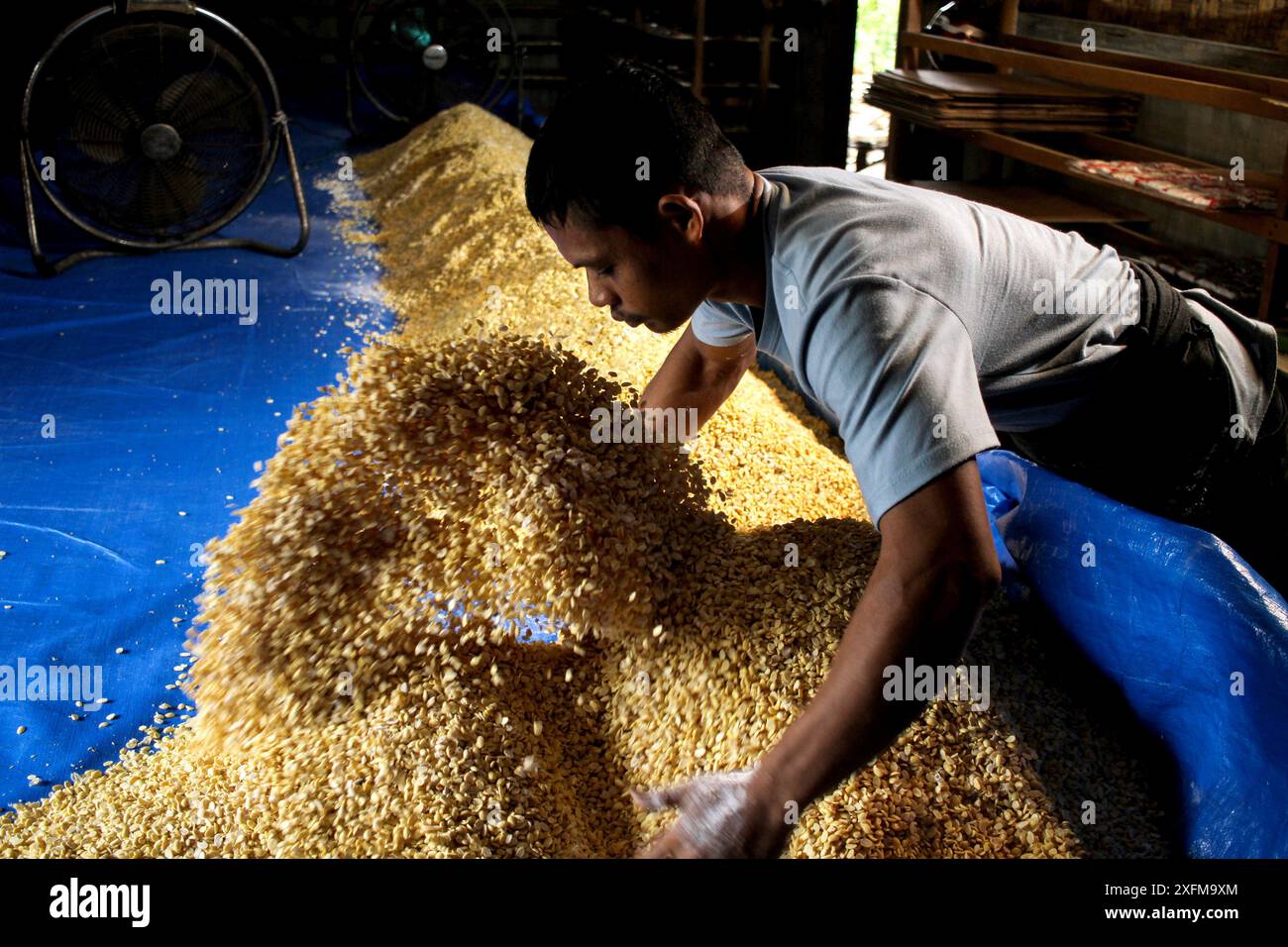 Fermented soybeans making hi-res stock photography and images - Alamy