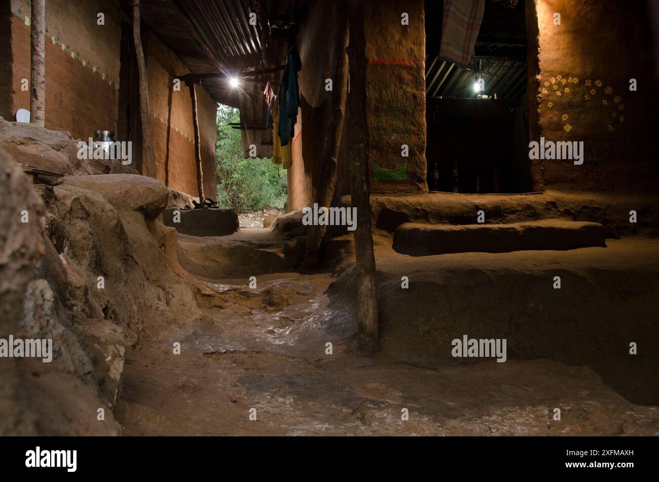 Alley frequented by wild Leopards (Panthera pardus fusca) in Aarey Milk ...