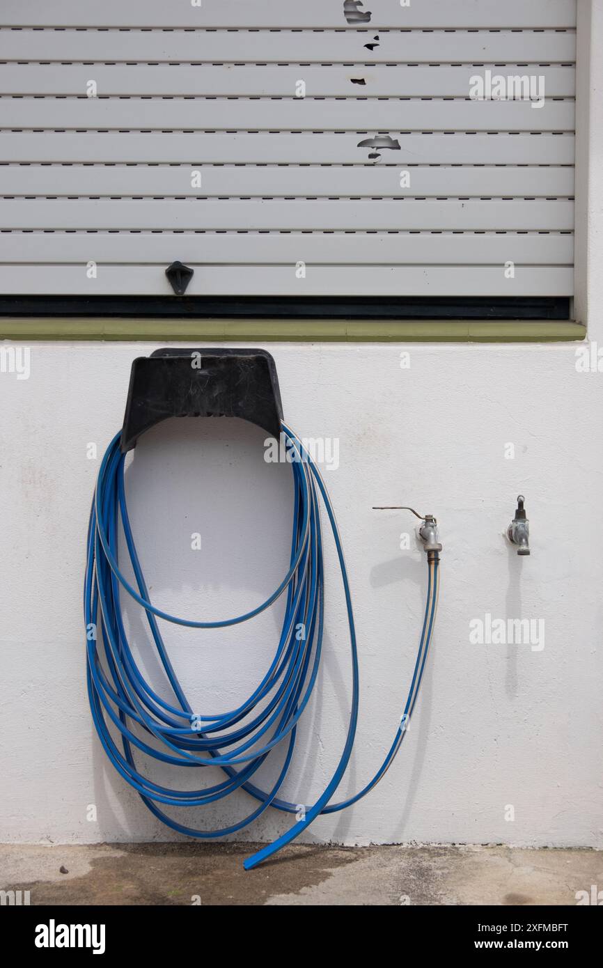 A blue hose is attached to a wall. The hose is connected to a faucet ...