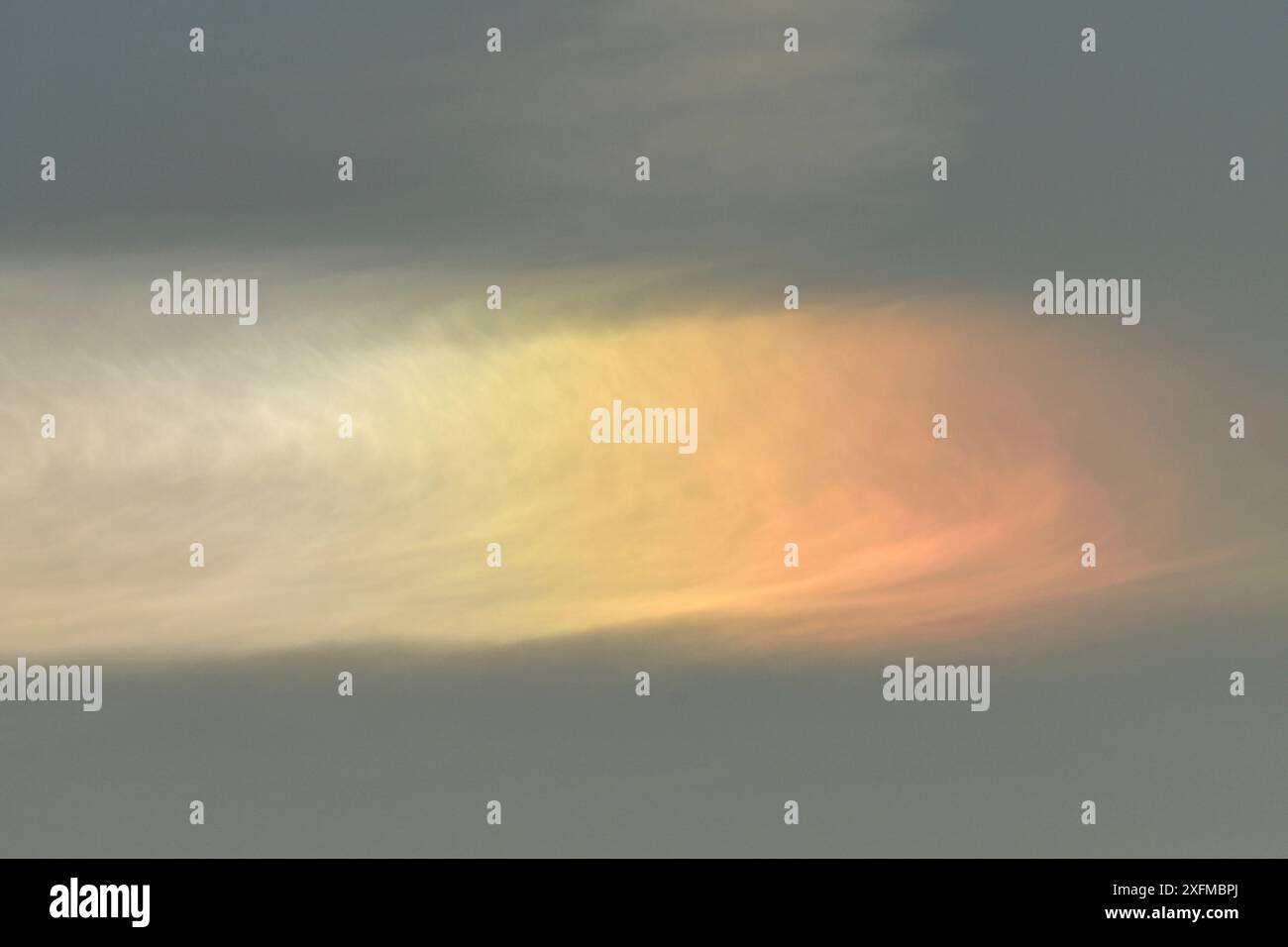 Sundog france hi-res stock photography and images - Alamy