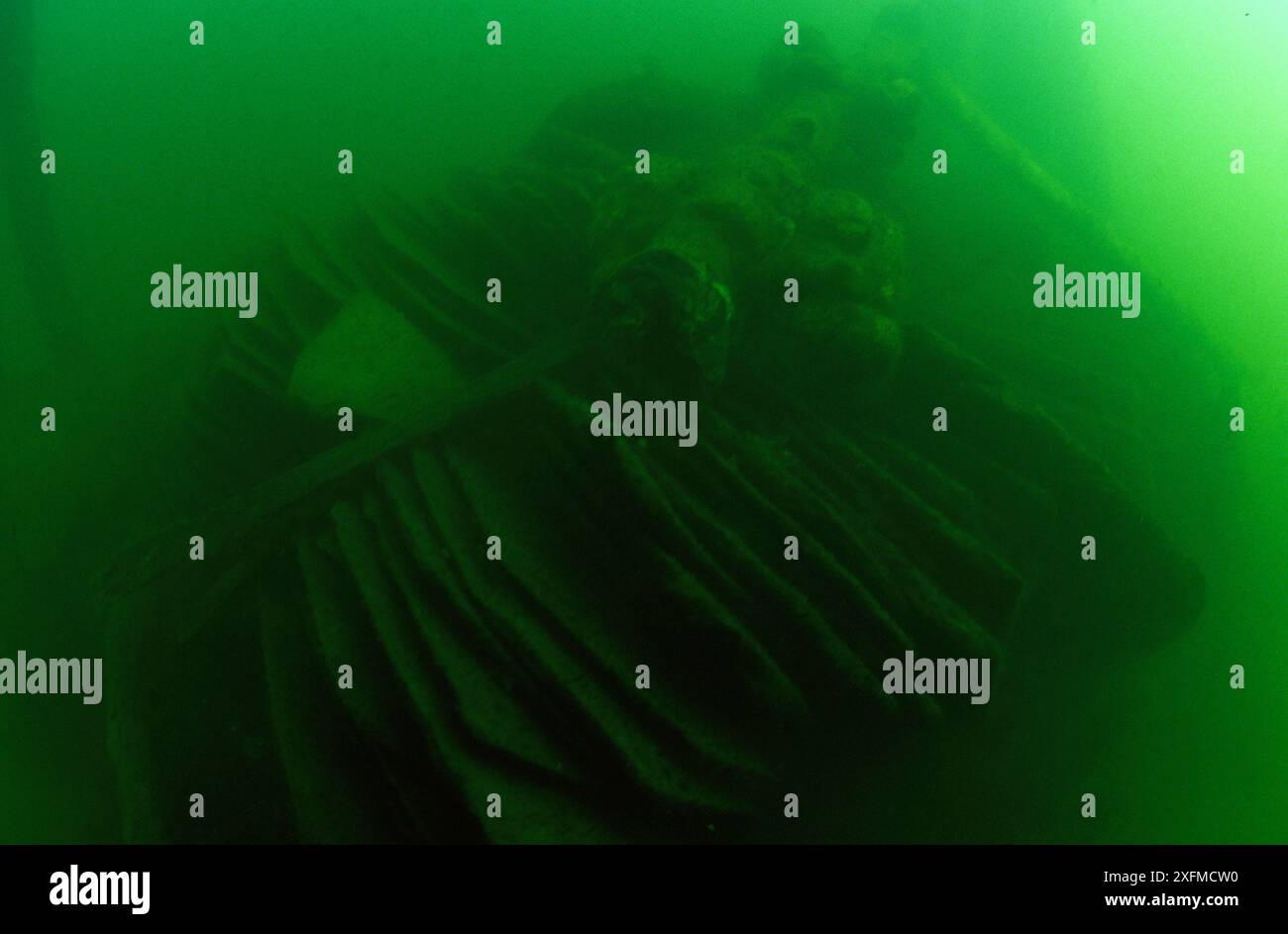 Algae covered slate in the last mine cart in flooded slate quarry on ...