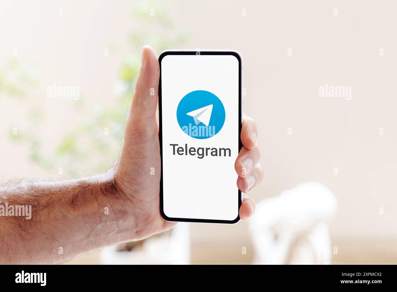 Man holding a mobile phone showing telegram app on screen. ROSARIO ...