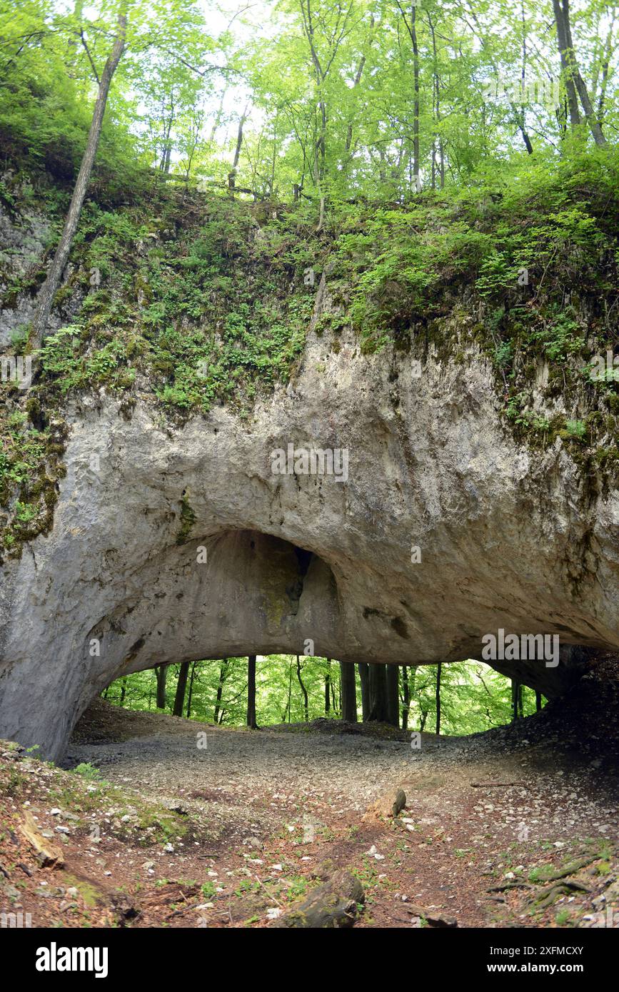 Karst Bridge, a natural limestone arch from, Cretaceous Period with ...