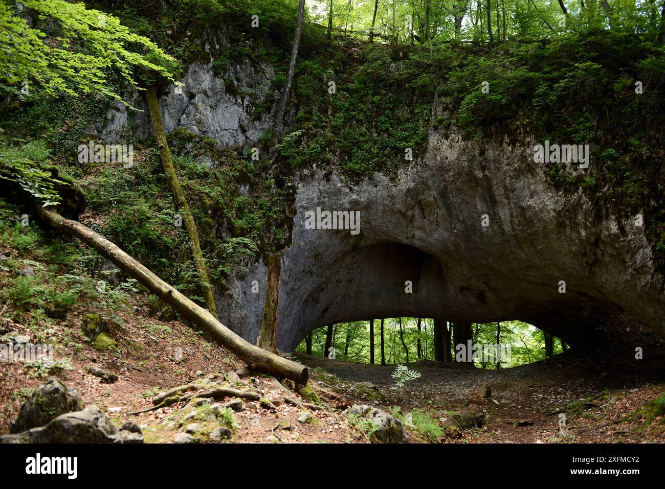 Karst Bridge, a natural limestone arch from, Cretaceous Period with ...