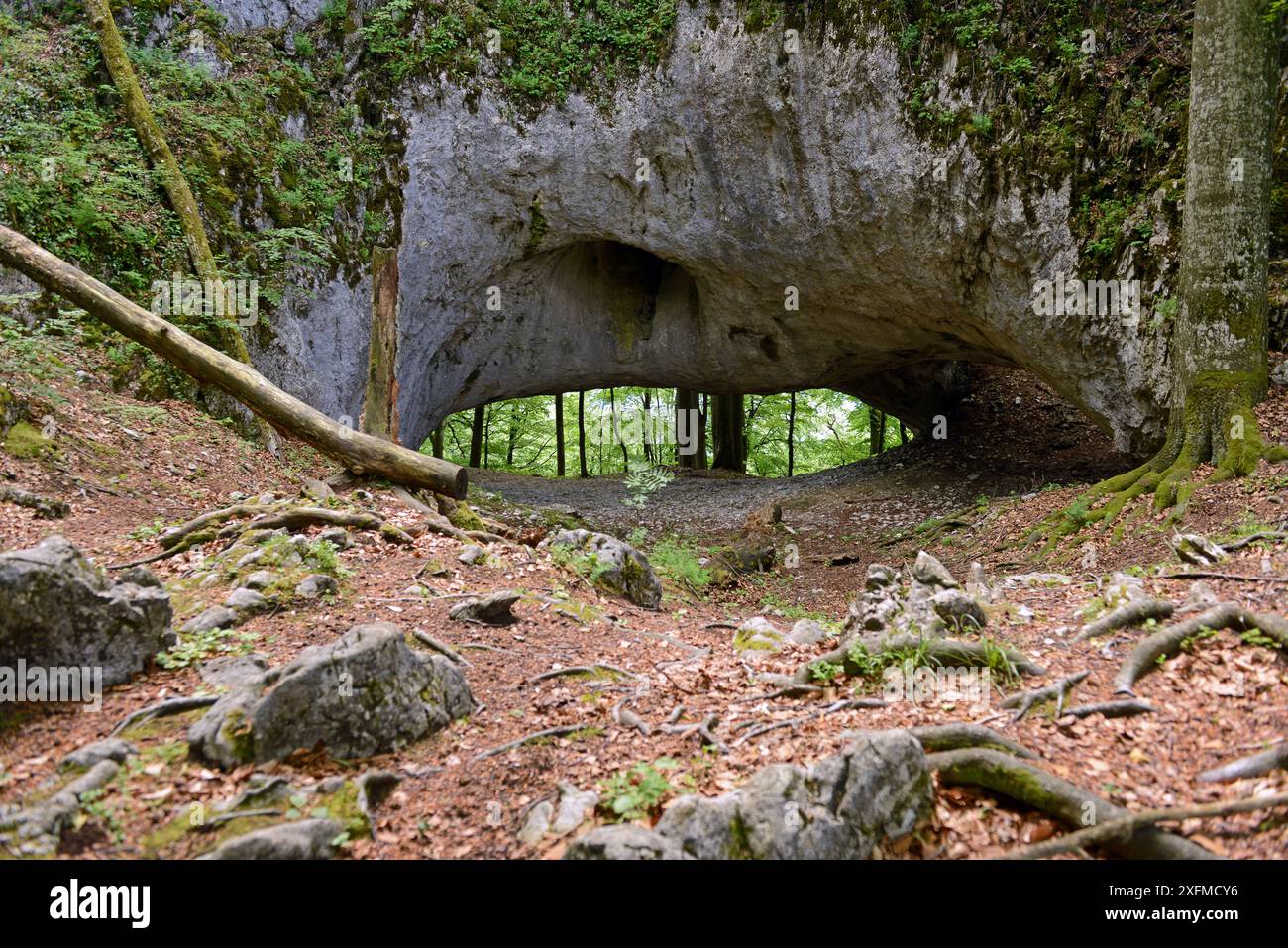 Karst Bridge, a natural limestone arch from, Cretaceous Period with ...