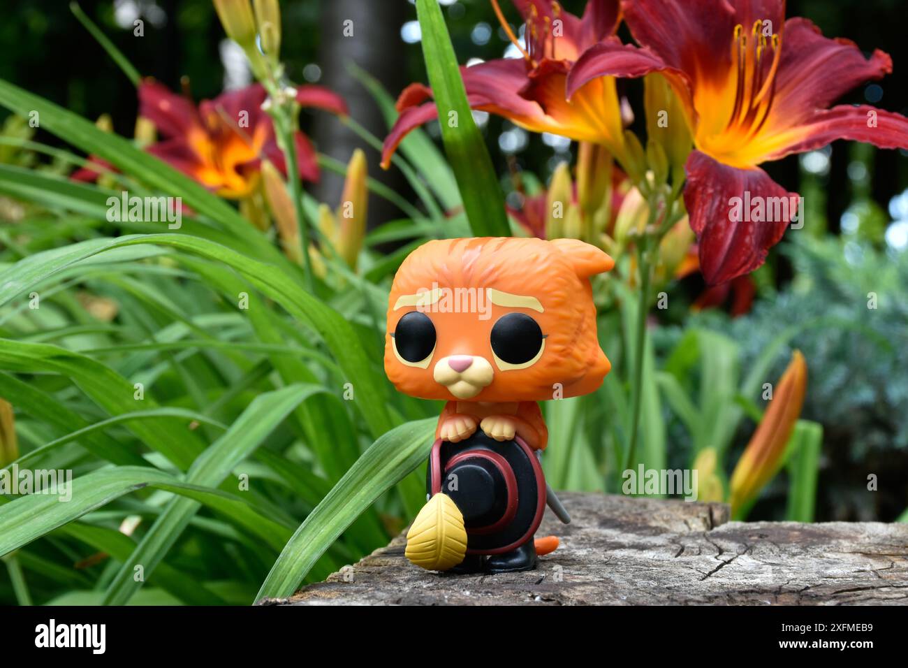 Shrek cat hi-res stock photography and images - Alamy