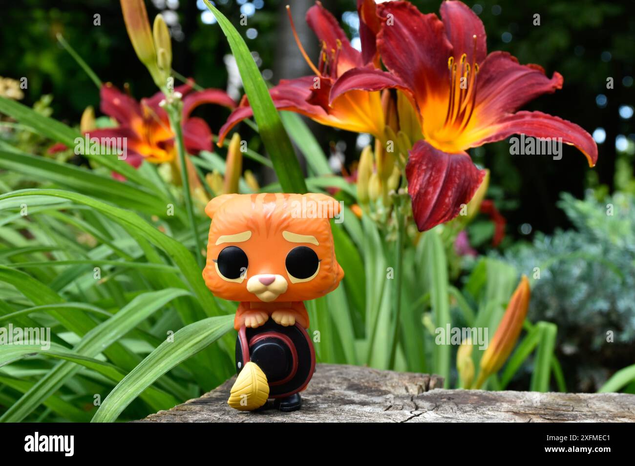 Fairy stump with green eyes hi-res stock photography and images - Alamy