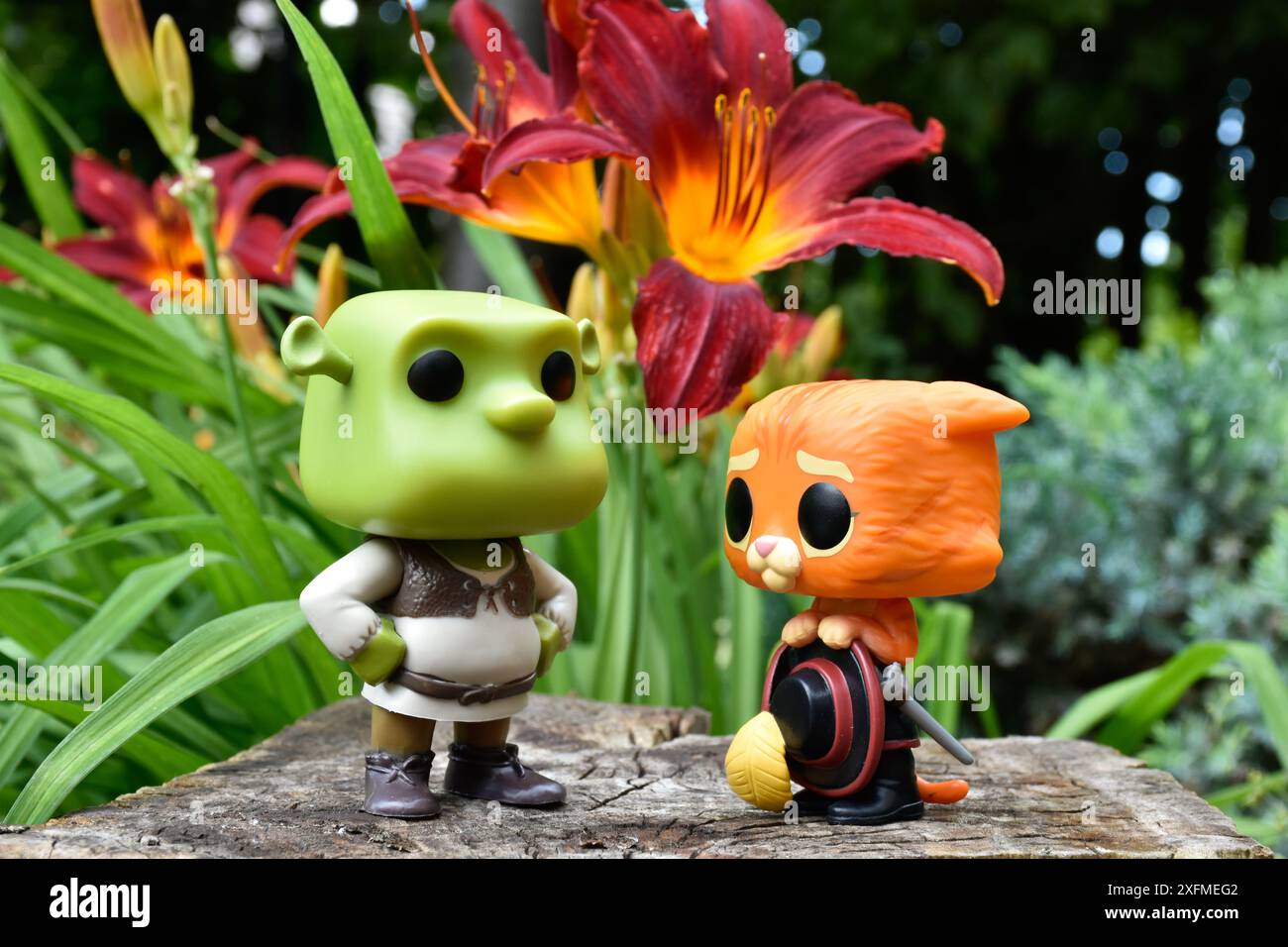 Ginger pop hi-res stock photography and images - Alamy