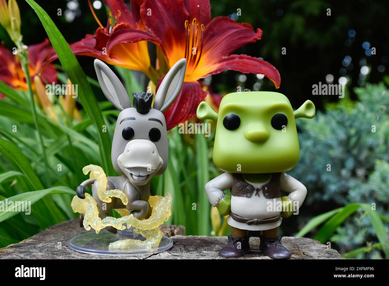 Swamp friends hi-res stock photography and images - Alamy