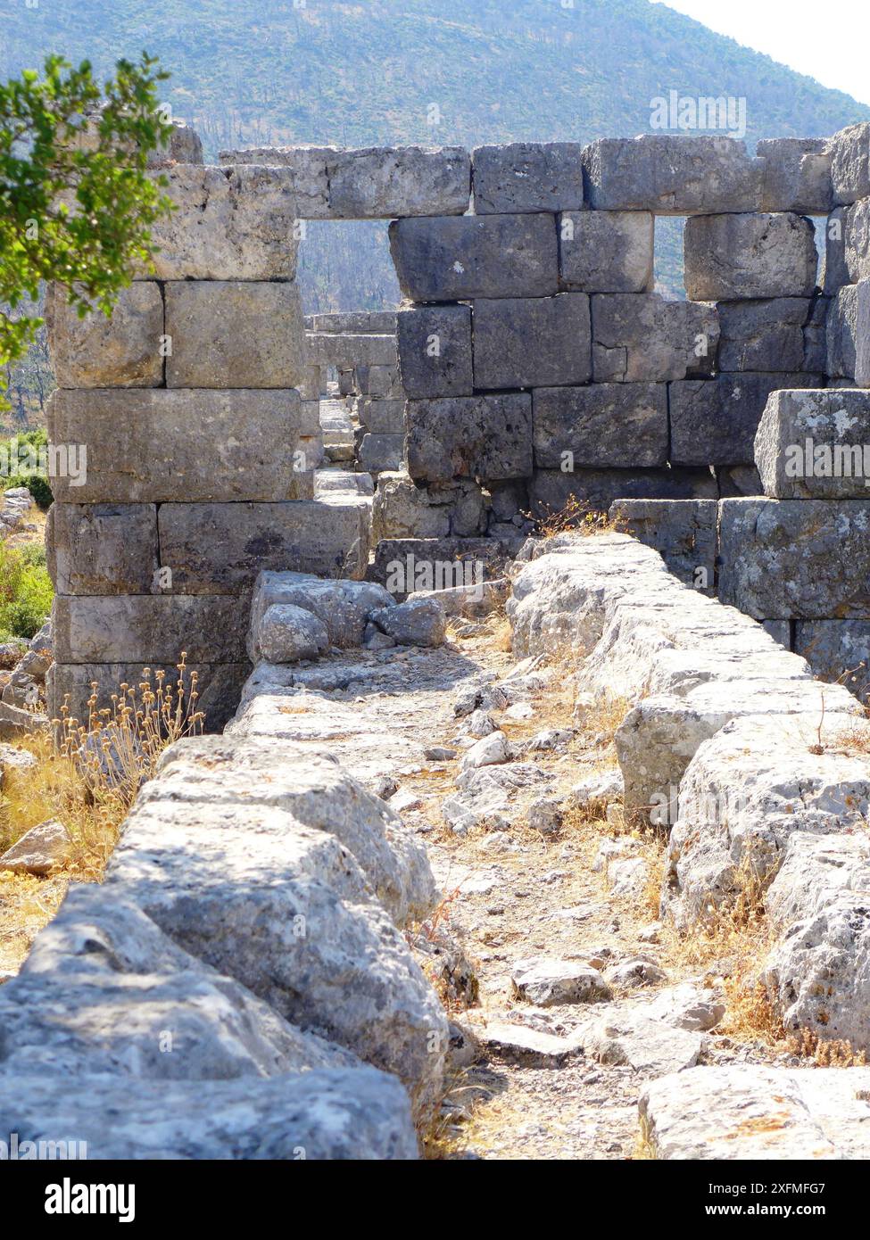 Remnants of ancient fortress in Attica, built during 4th century BC by ...
