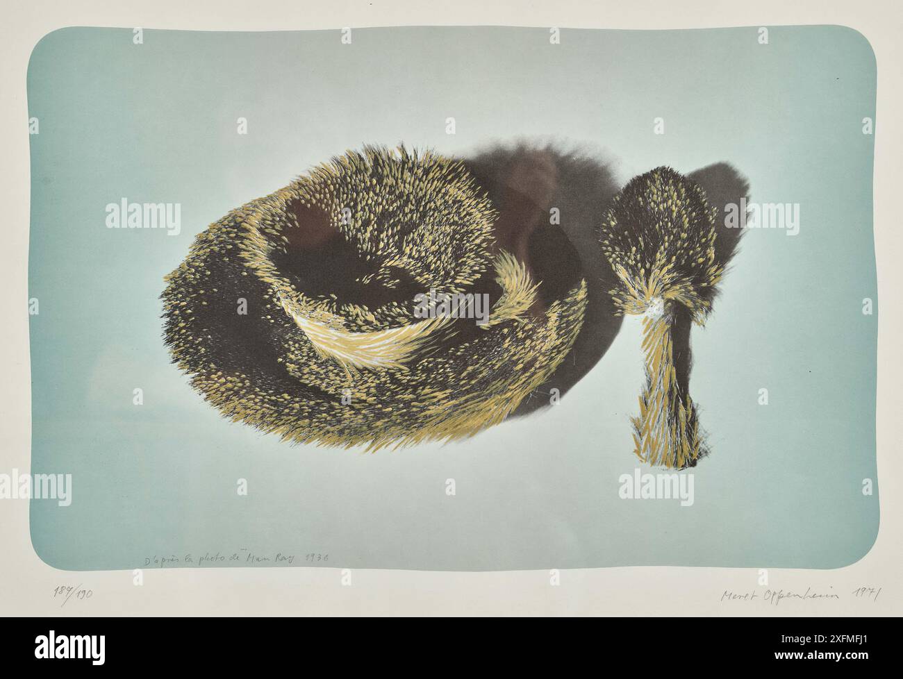 Dejeuner en fourrure hi-res stock photography and images - Alamy