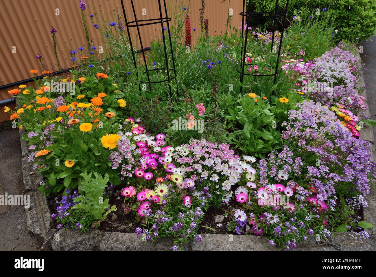 An attractive flower display at Buckfastleigh station on the South ...