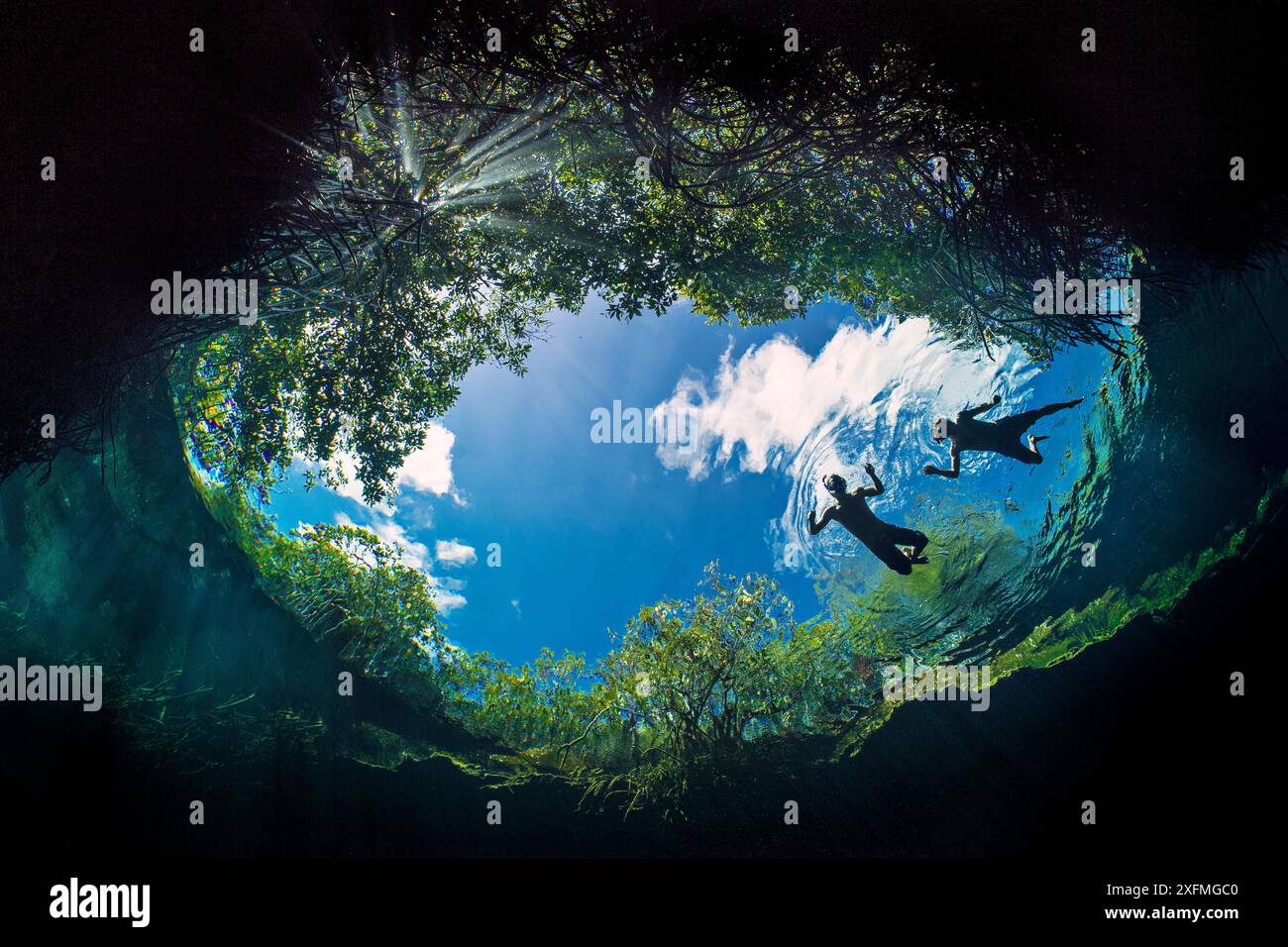 Two snorkellers swim in the water of a Cenote (a freshwater sink hole ...