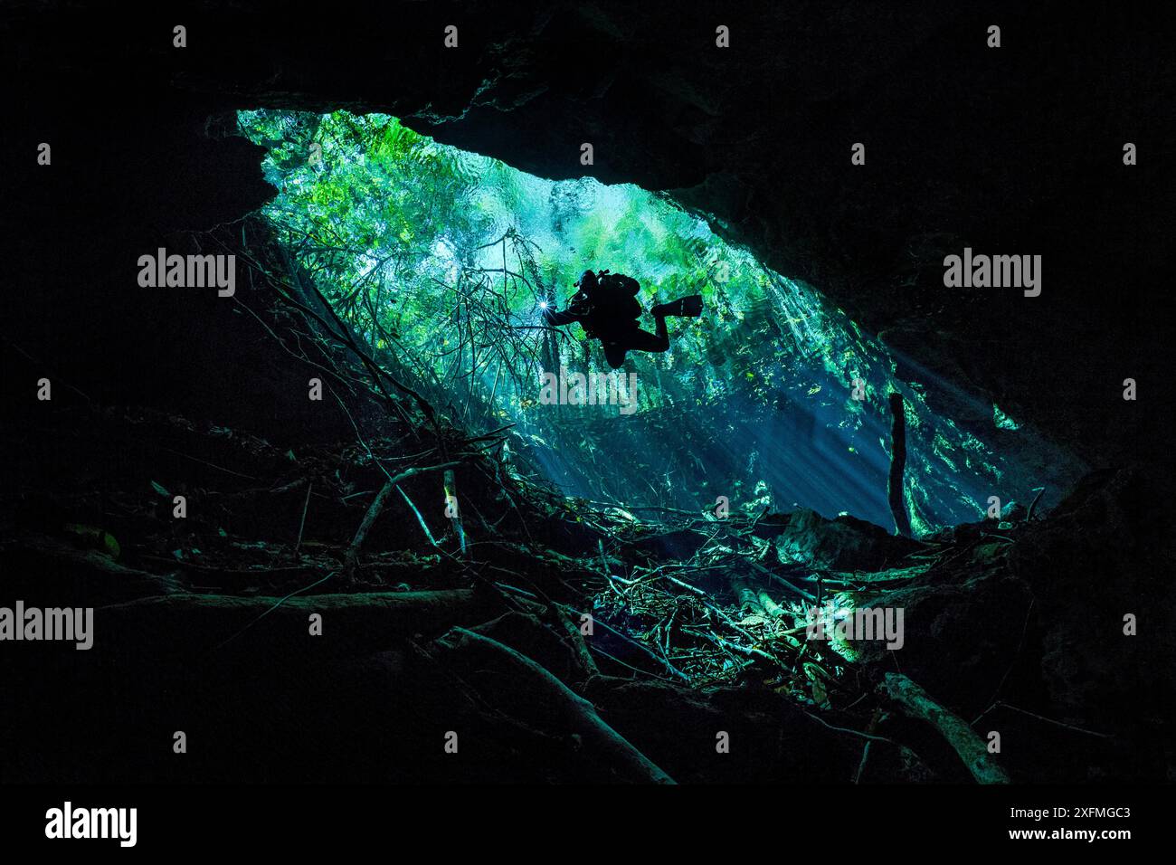 Diver descending into a freshwater cenote (or limestone sinkhole ...
