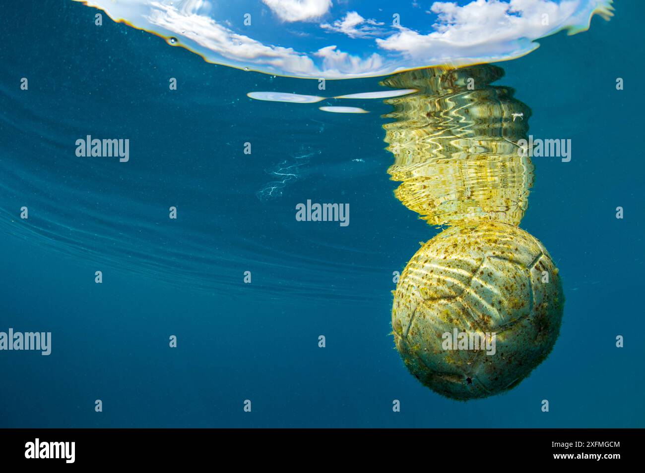 Discarded football floating in the ocean. Plastic pollution is a major ...