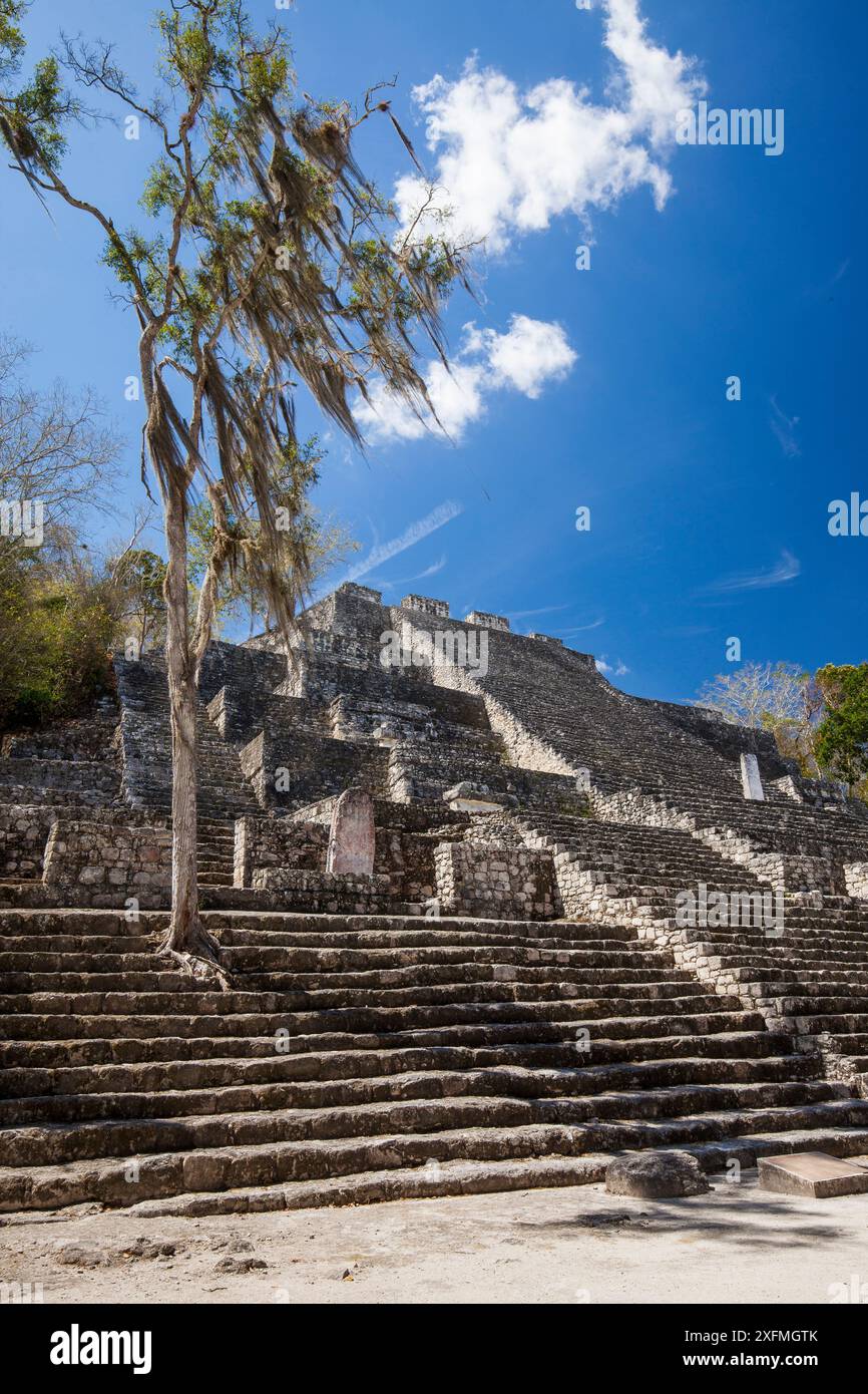 Structure II (Great Pyramid), one of the largest Mayan structures. This ...