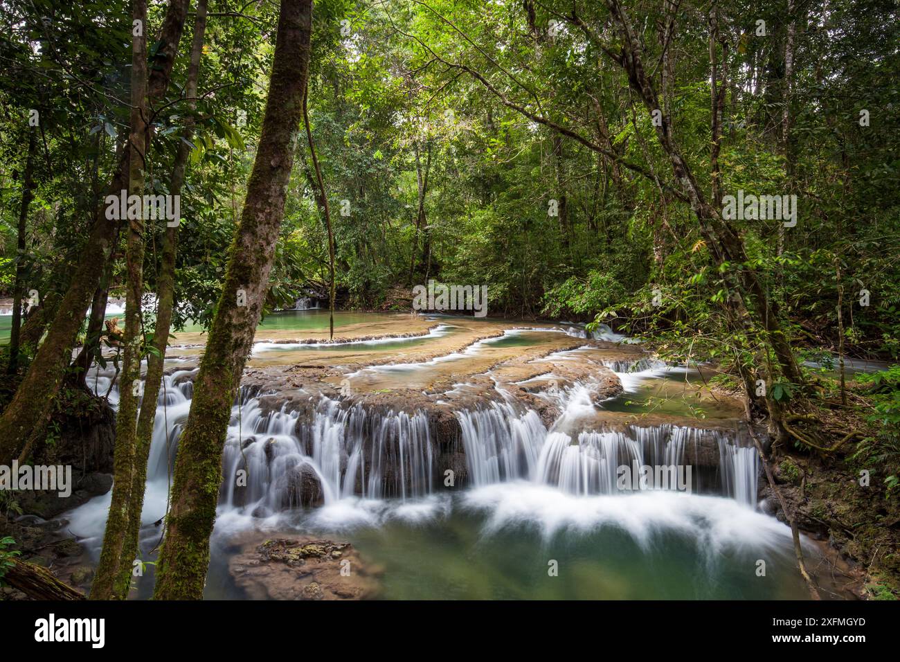 Waterfall in tropical rainforest at Lacan-tun, Montes Azules Biosphere ...
