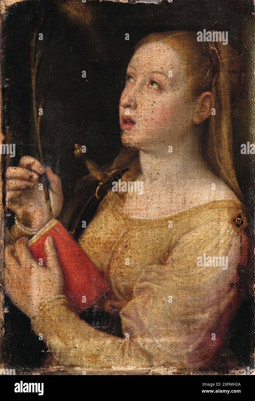 Saint Justina of Padua. Museum: PRIVATE COLLECTION. Author: BARBARA ...