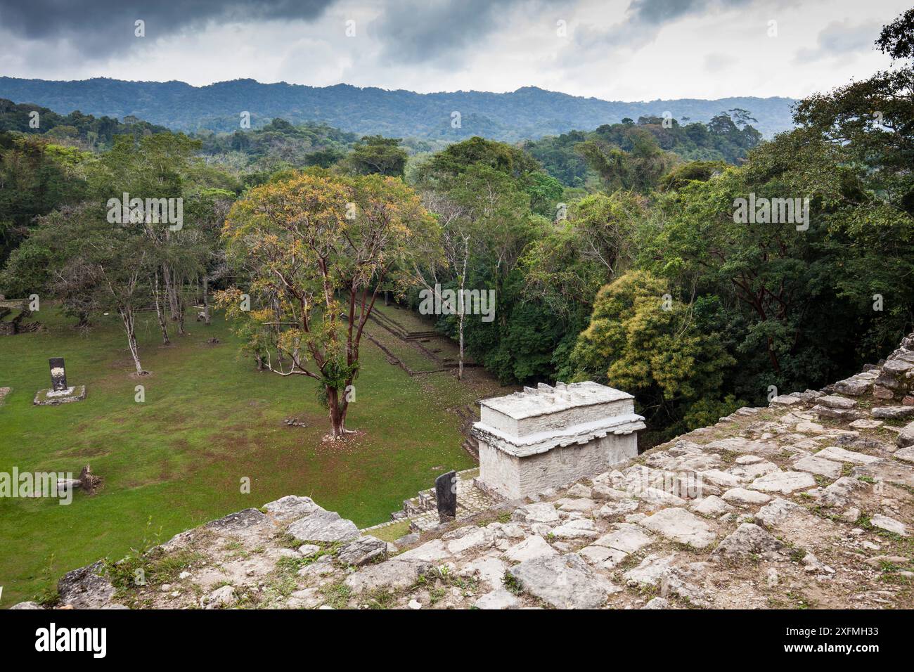 Bonampak Mayan ruins, Montes Azules Biosphere Reserve, Chiapas. Mexico ...